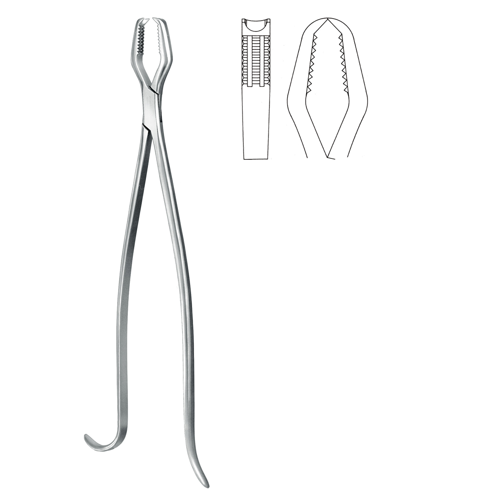 KERN LANE Bone Holding Forceps - Surgivalley, Complete Range of Medical ...