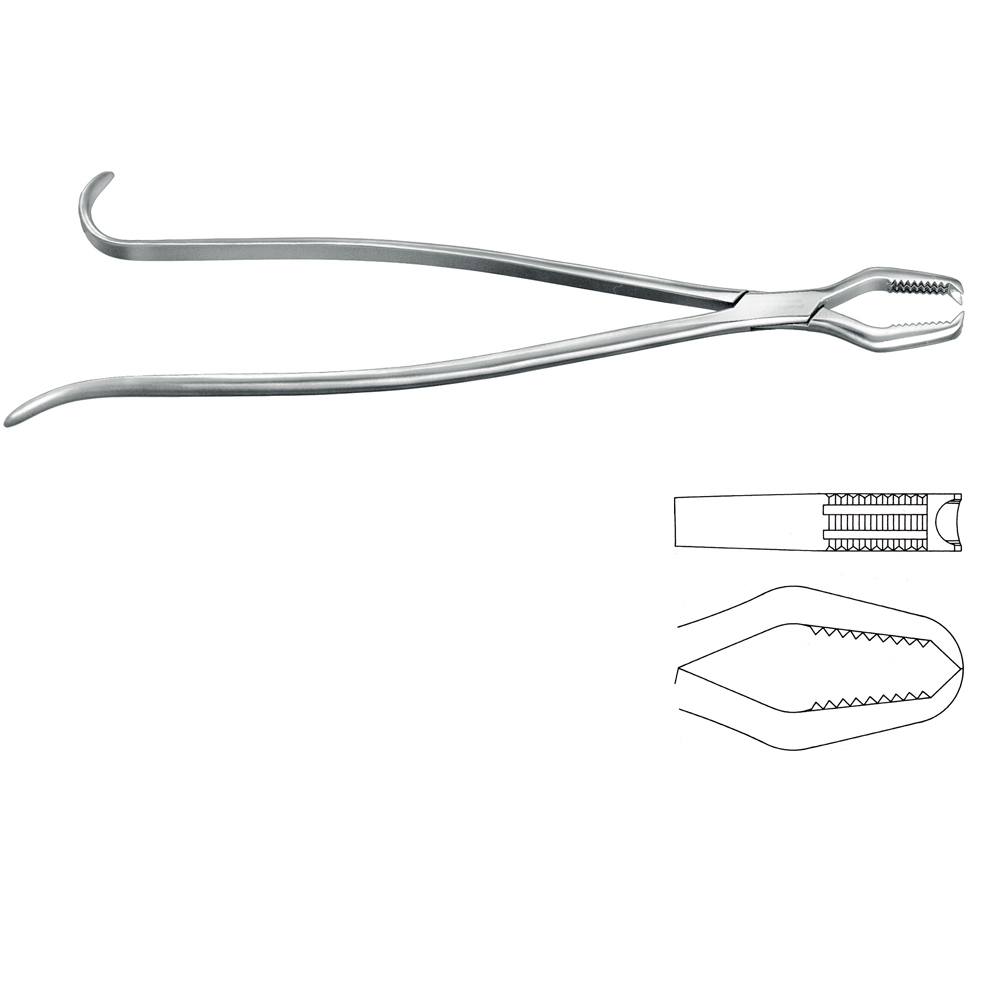 KERN LANE Bone Holding Forceps - Surgivalley, Complete Range of Medical ...