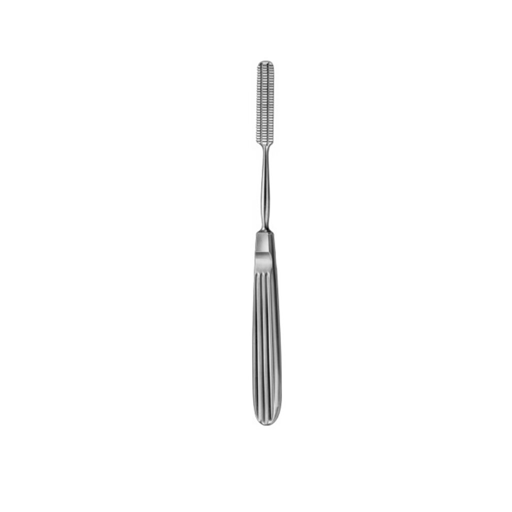 MALTZ Bone Rasp - Surgivalley: Leading Surgical Instruments & Medical ...